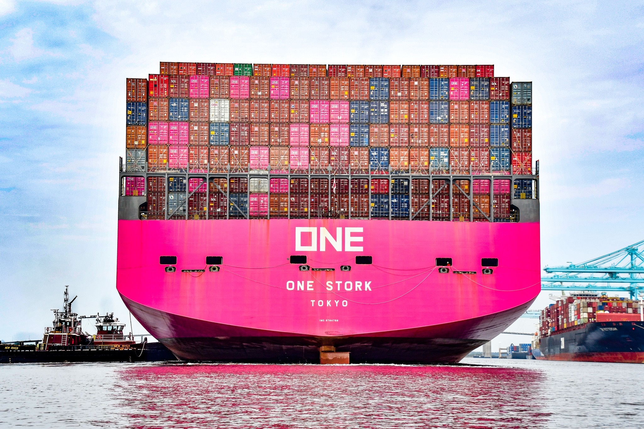 Winning image announced in ONE STORK photo contest | Jacksonville Port ...