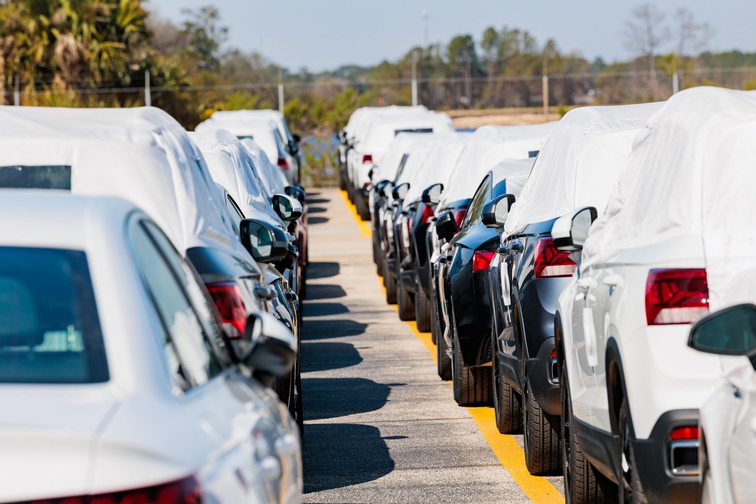 Over the decades, AMPORTS has grown alongside JAXPORT, expanding ...